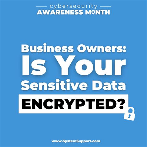 Systems Support Corp On Linkedin Cybersecurityawarenessmonth Systemssupportcorporation