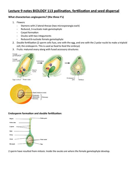 Lecture 9 Notes Pollination Fertilization Seed Dispersal Lecture 9