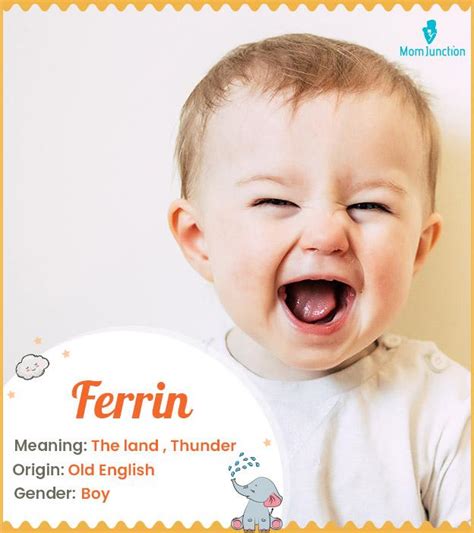 Ferrin Name Meaning Origin History And Popularity
