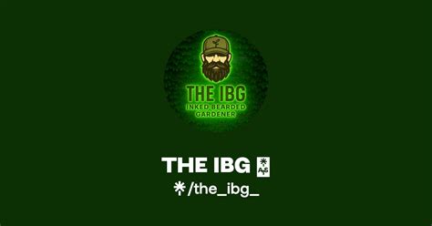 The Ibg Instagram Tiktok Linktree