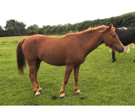 Wild To Wonderful Colin