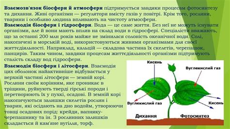 Презентація на тему Біосфера