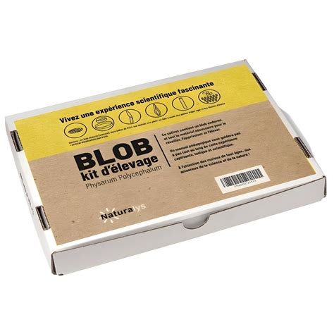 Kit Délevage Blob Physarum Polycephalum