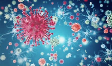 Frog Mucus Yields Virus Killing Peptides Asian Scientist Magazine