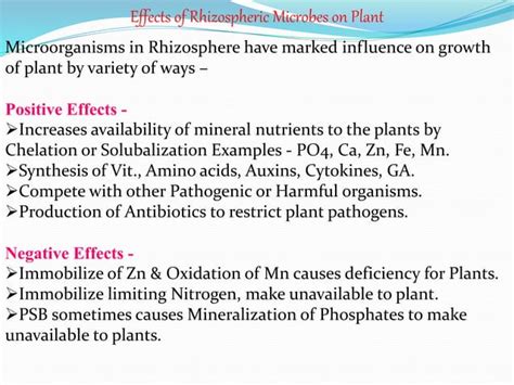 Microbe Plant Interaction Pptx Microbe Plant Interaction Pptx