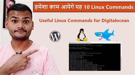 Top 10 Useful Linux Commands For Digitalocean User 2021 Youtube