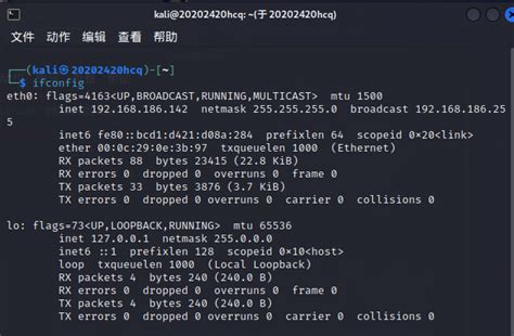 20202420 2022 2023 2 《网络与系统攻防技术》实验六实验报告 csdn社区