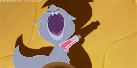 Yzma Cat  Find On Er