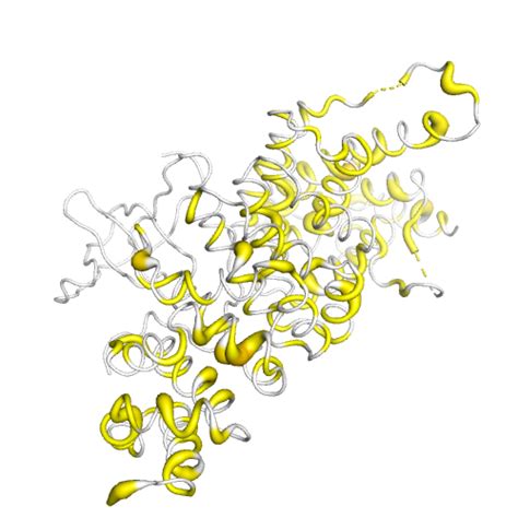 Apc Gene Somatic Mutations In Cancer