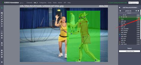 Coco Annotator安装和使用 非常详细 Coco Annotator Csdn博客
