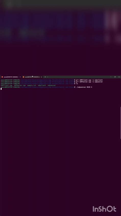 Quick C Cpp Socket Java Python Projects In 24hrs By