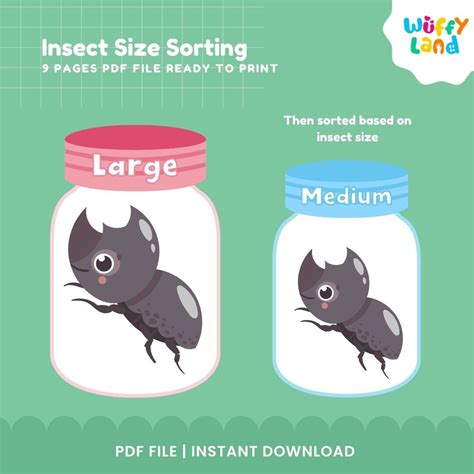 insect size sorting game sort by size worksheet size sorting game