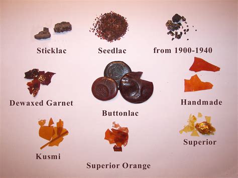 Mechanical Music Digest Gallery