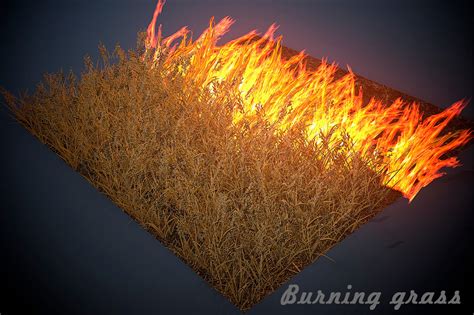 3d Model Burning Grass Turbosquid 1219334