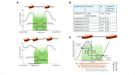 Plasma Cfdna Fragmentation Pattern Biases Analytical Characteristics Download Scientific