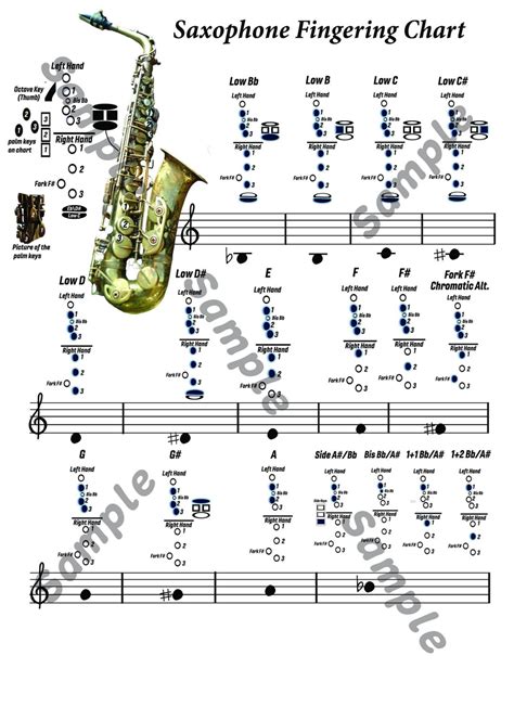 Full Range Alto Saxophone Fingering Chart From Low Bb To Altissimo D