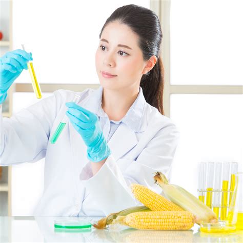 Diy Mayonnaise From Bioengineered To Homemade