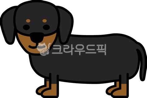 강아지 강아지일러스트 강아지그림 닥스훈트일러스트 닥스훈트 사진이미지일러스트캘리그라피 불량이작가