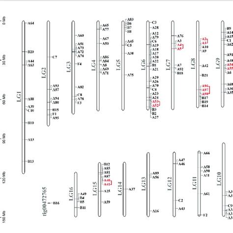Chromosomal Locations And Tandem Duplicated Gene Pairs Of The 133