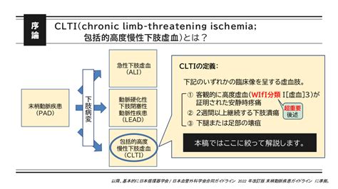 包括的高度慢性下肢虚血（clti）の病態と治療 Genspark