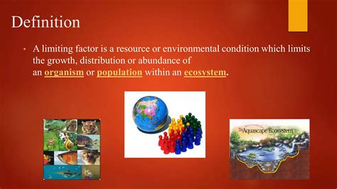 Limiting Factors PDF