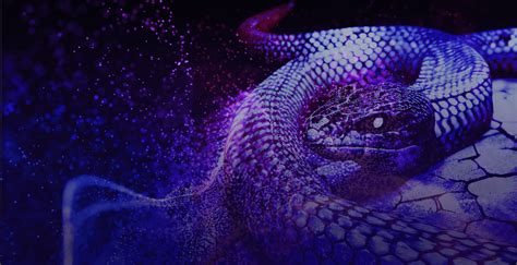 Silent Invasion Unraveling The Stealth And Danger Of Ssh Snake Attack