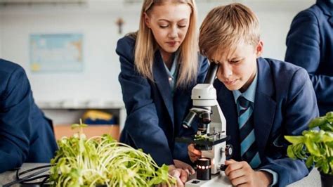 6 Fun Lego Stem Activities They Wont Want To Stop