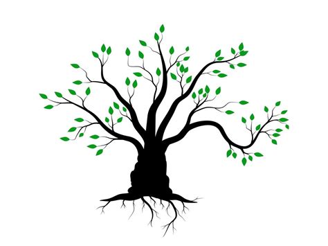 Trees And Root With Green Leaves Look Beautiful And Refreshing Tree
