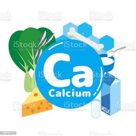 Bone And Calcium Stock Illustration Download Image Now Bone Densitometry Osteoporosis