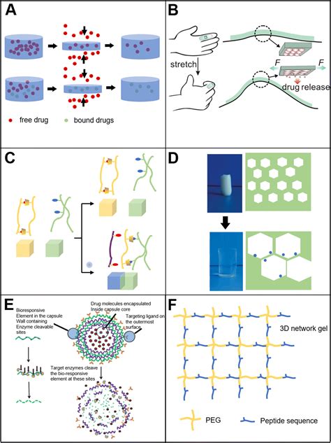 Bio Based Stimuli Responsive Materials For Biomedical Applications Materials Advances Rsc