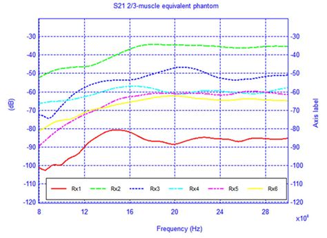 S 21 Of The Ban Network Scenario With 23 Muscle Phantom Download