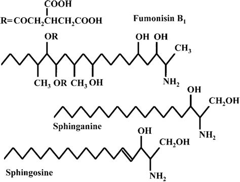 Similarity In Chemical Structures Of Sphingosine Sphinganine And Fb 1