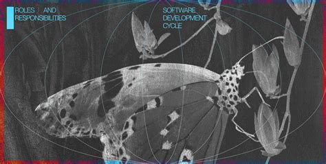 Roles And Responsibilities In The Software Development Cycle Ester Blog