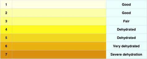 Why Does The Colour Of Urine Vary From Light To Bright Yellow When We