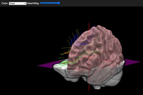 Opacity Is Not Opacity · Issue 598 · Niivueniivue · Github