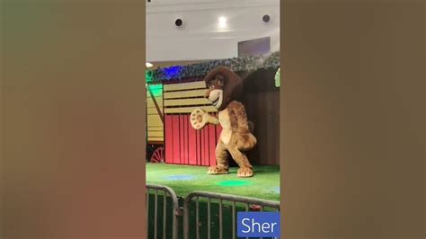Sher Nirala Sher Shernirala Shorts Youtube