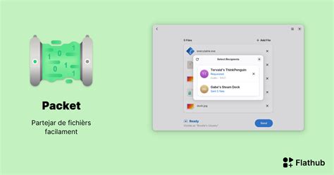 Installar Packet Sus Linux Flathub