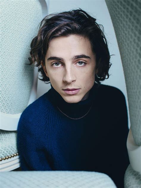 A Guide To Cool Timothée Chalamet