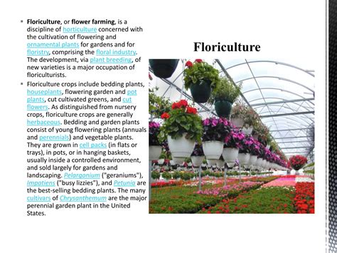 Horticulture Ppt PPTX