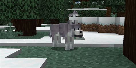 Minecraft All Wolf Variants From Java And Bedrock Editions