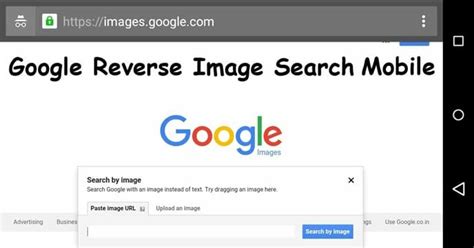 How To Do Reverse Image Search On Your Mobile Phone Technipages