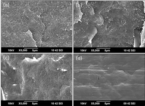 Scanning Electron Microscope Sem Micrographs Of Pu 1 Phrhdpe