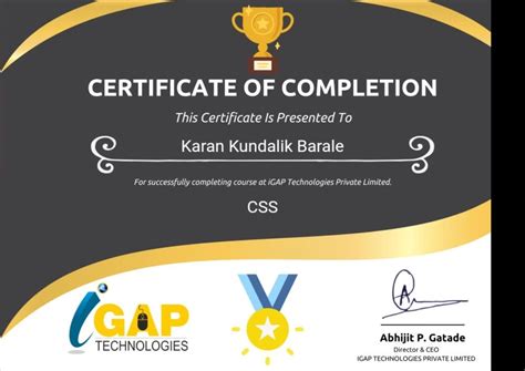 Css Csscertification Igaptechnologies Webdesign Techskills