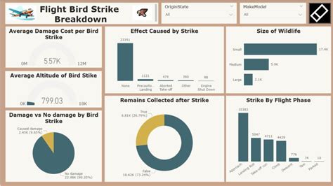 Dashboard Datavisualization Birdstikeanalysis Powerbi Bimarsha Poudel