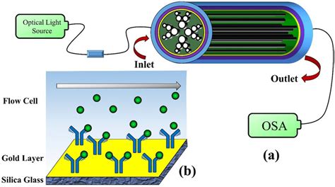 A Schematic Block Diagram For Experimental Setup And B Movements Of Download Scientific