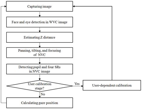 Flow Chart Of The Proposed Gaze Tracking System Download Scientific Diagram