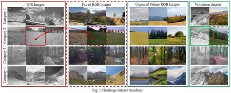 The Challenge Dataset