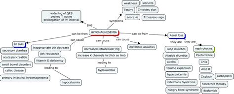 Nephron Power Concept Map Of Hypomagnesemia