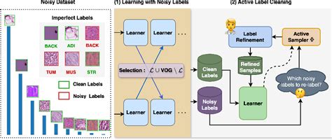 Figure From Active Label Refinement For Robust Training Of Imbalanced Medical Image