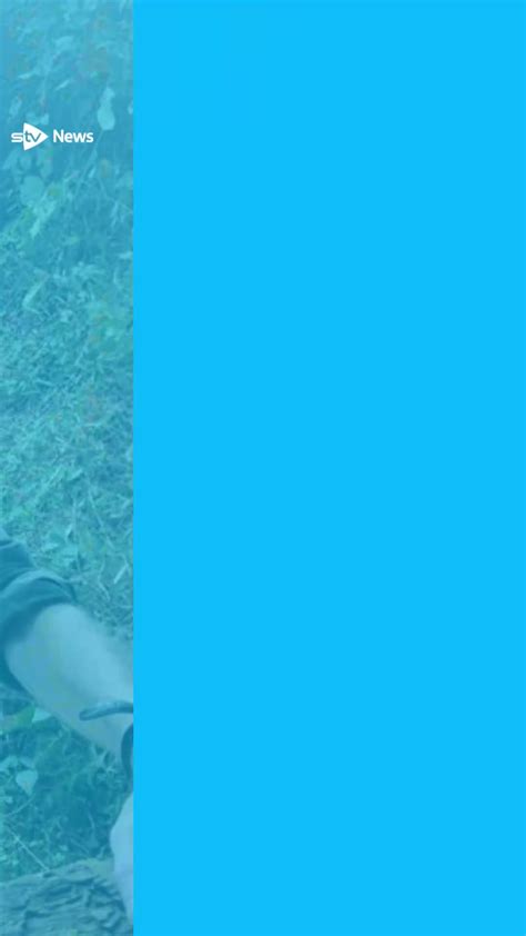 Ogrady2 65734fe4f83db8209c151a48dec082023173844